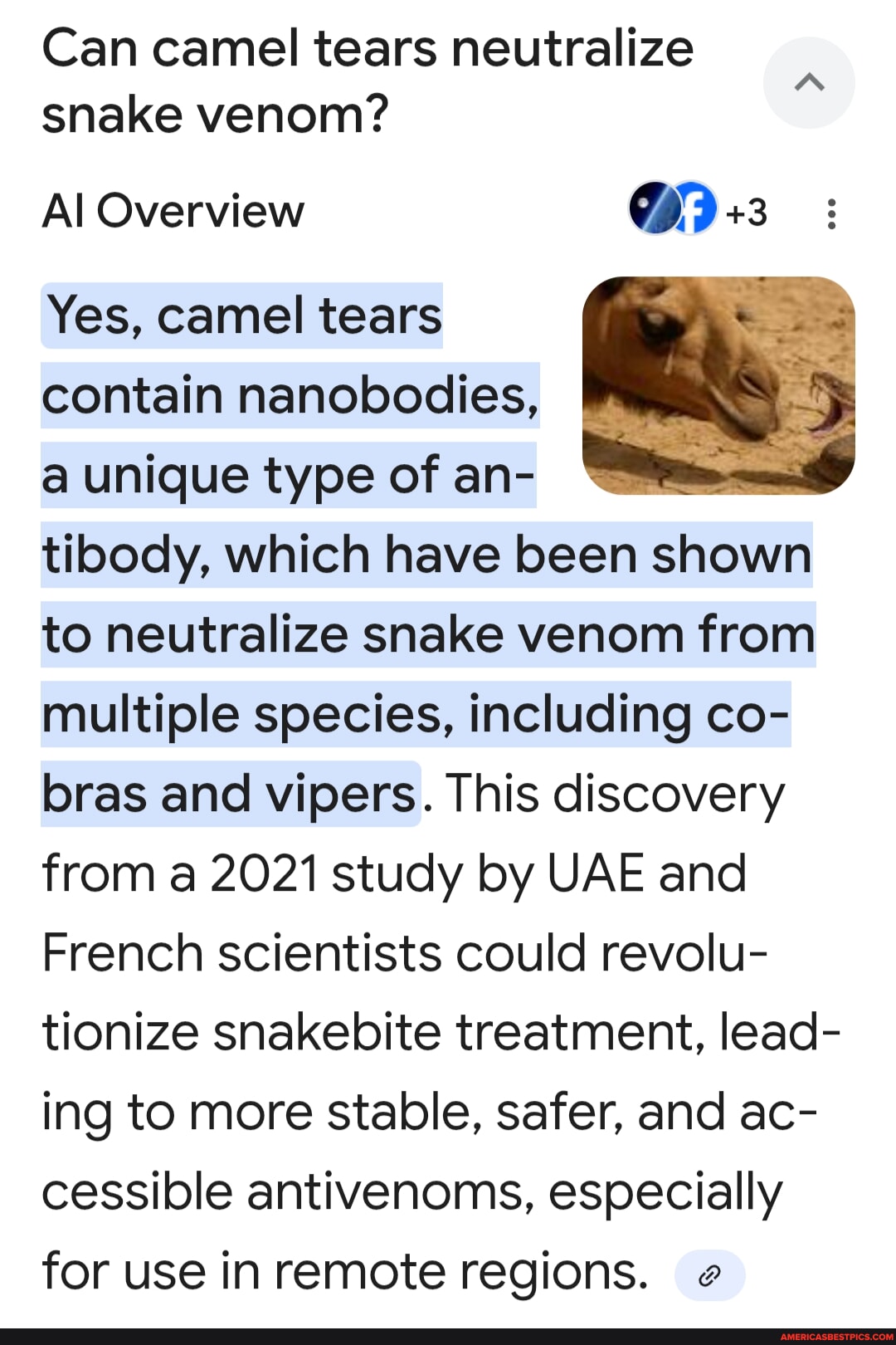 Can camel tears neutralize snake venom? Al Overview Yes, camel tears ...