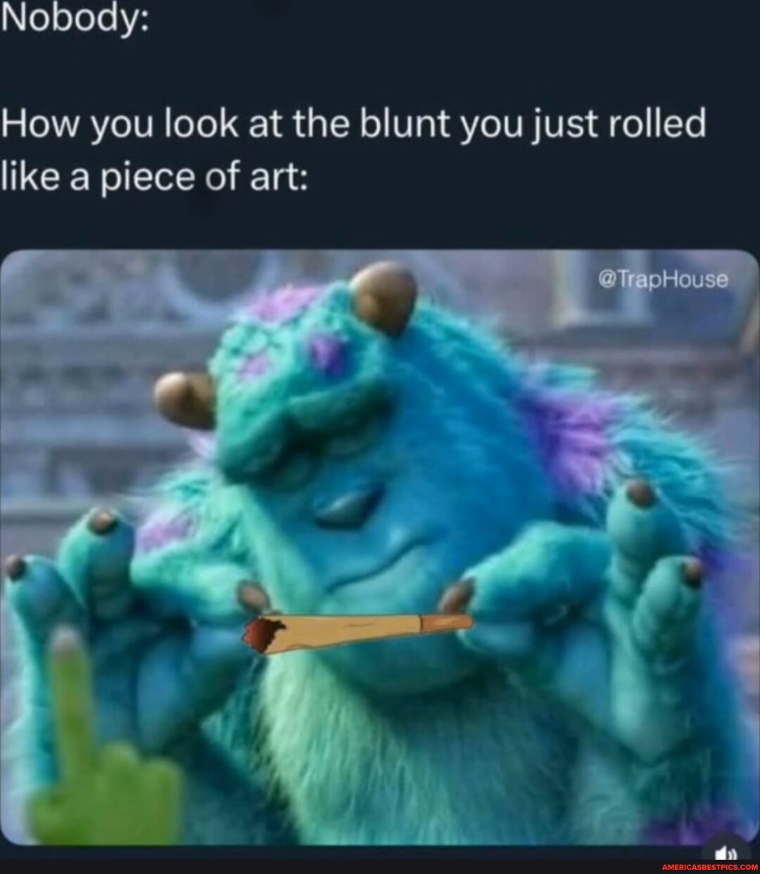 Nobody: How you look at the blunt you just rolled like a piece of art ...