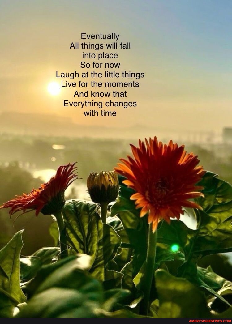 Eventually All things will fall into place So for now Laugh at the ...