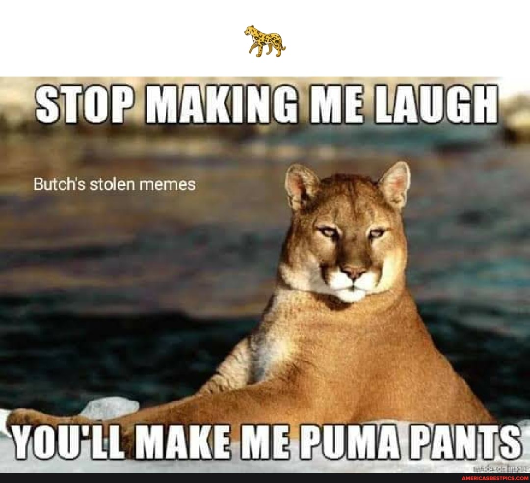 STOP MAKING ME LAUGH Butch's stolen memes 'YOU'LL MAKE ME PUMA PANTS ...