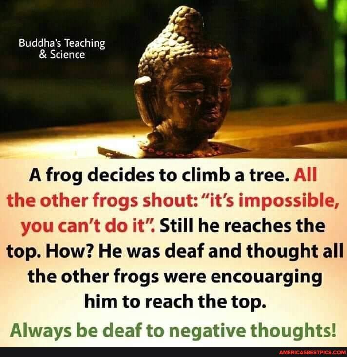 Encouarging memes. Best Collection of funny Encouarging pictures on ...