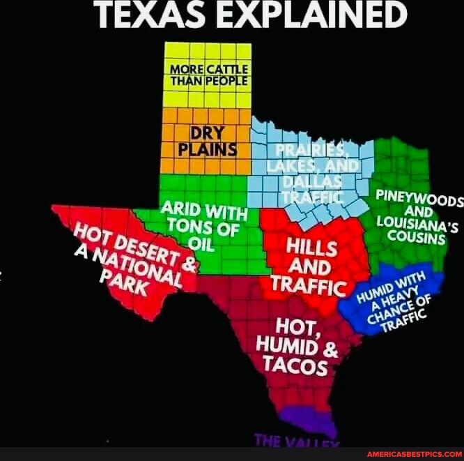 TEXAS EXPLAINED MORE CATTLE THAN PEOPLE COUSINS TACOS - America’s best ...