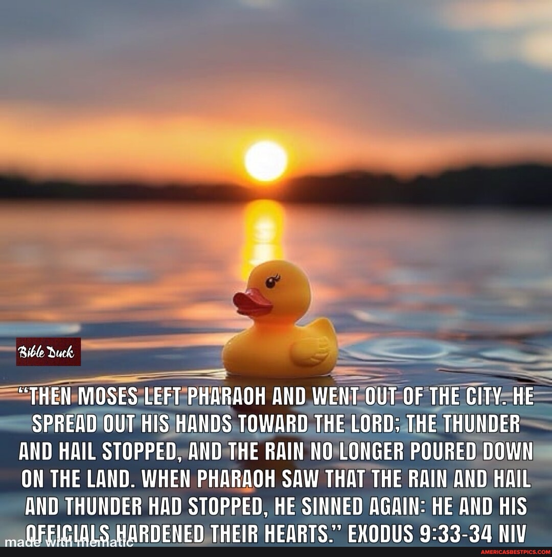 Bible Duck "THEN MOSES LEFT PHARAOH AND WENT OUT OF THE CITY. HE SPREAD ...