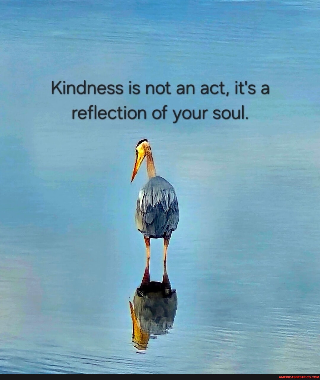 Kindness is not an act, it's a reflection of your soul. - America’s ...