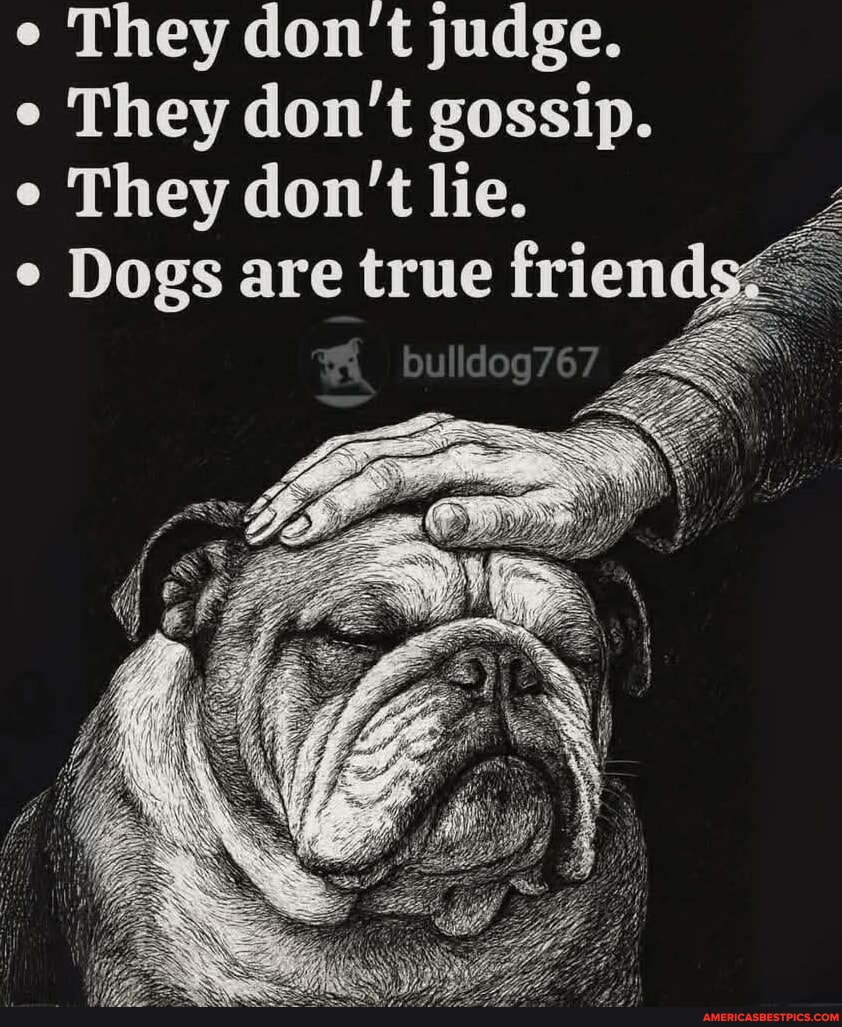 They don judge. They don't gossip. They don't lie. Dogs are true friend ...