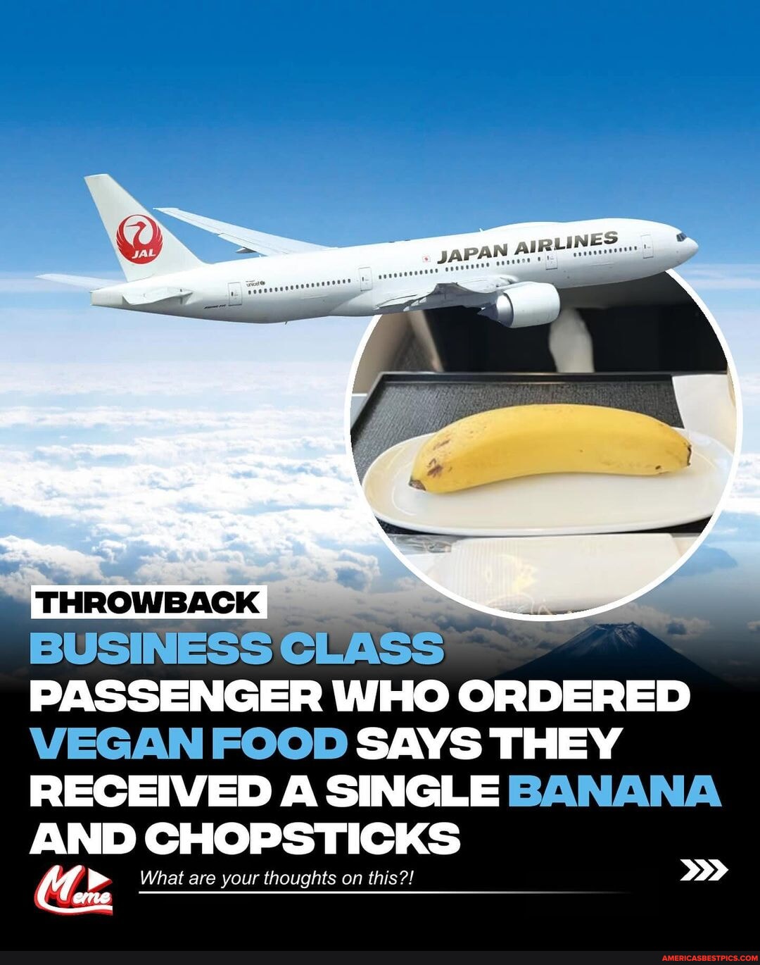 A passenger on board a Japan Airlines flight was outraged when he ...