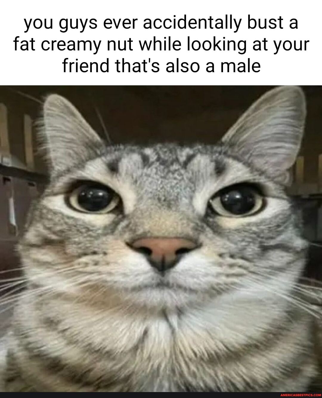 You guys ever accidentally bust a fat creamy nut while looking at your ...
