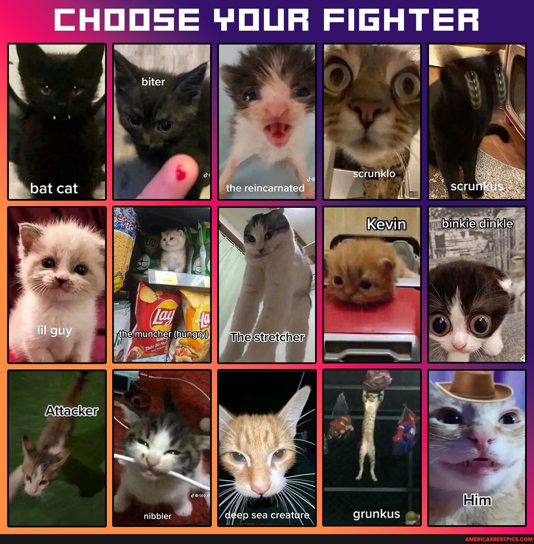I will choose Attacker. - CHOOSE YOUR FIGHTER bat cat lil guy biter the ...