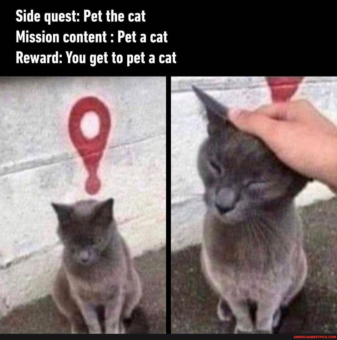 Mission completed ️ . #badcat #catmemes #catsofinstagram #gamer # ...