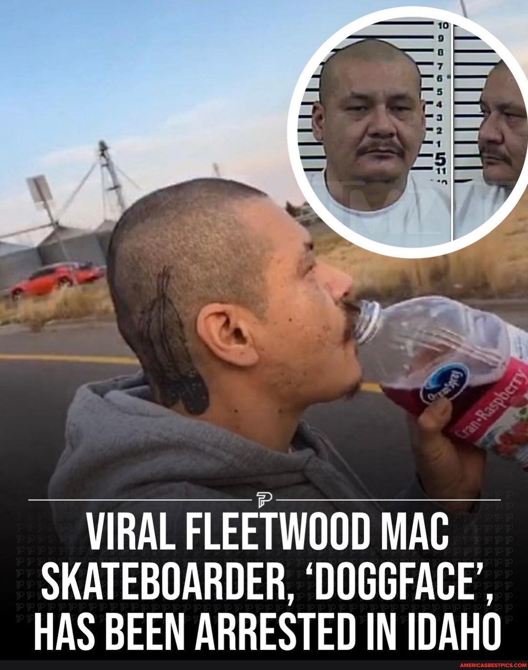 Fleetwood Mac skateboarder, Nathan Apodaca (aka ‘doggface’), was ...
