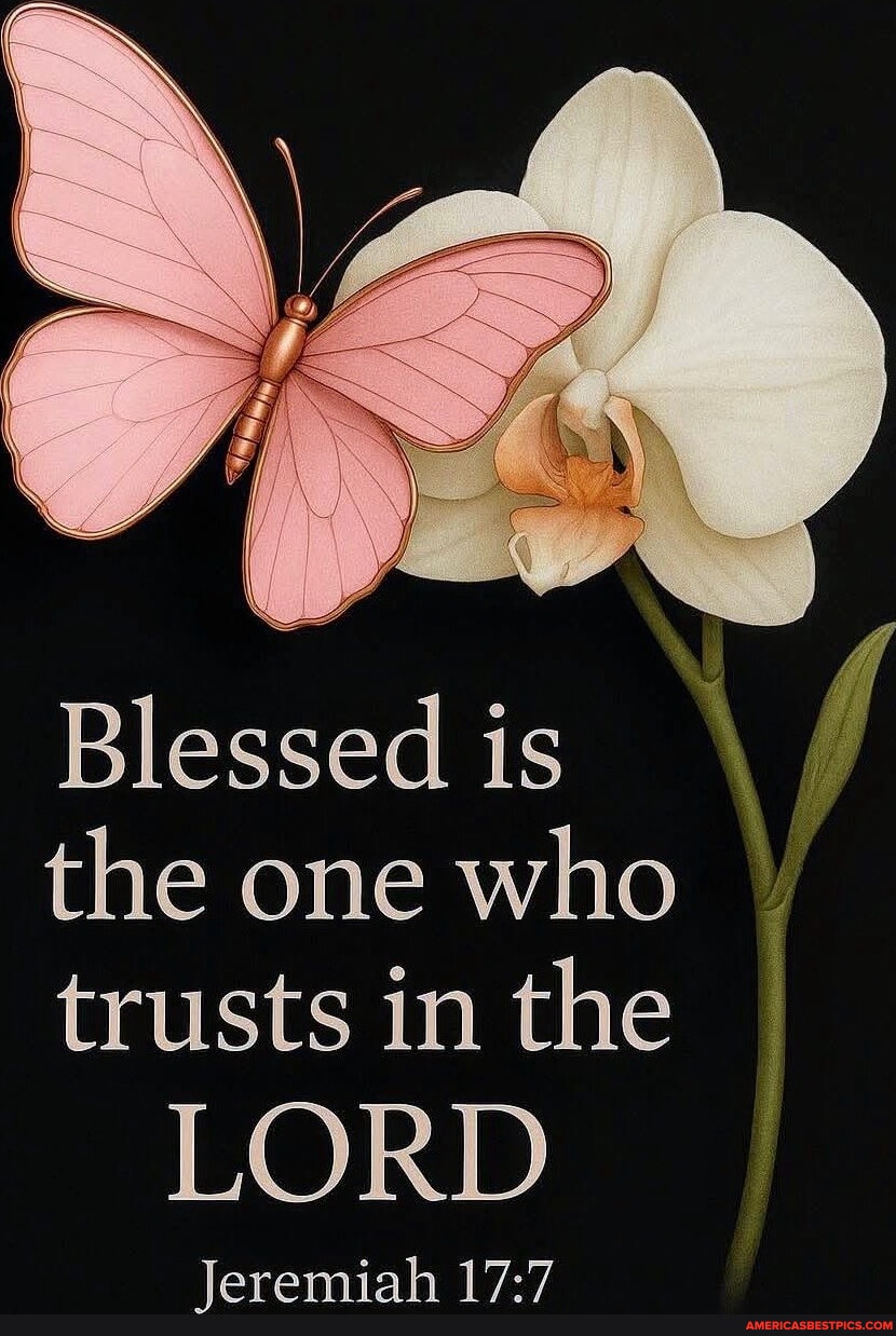 Blessed is the one who trusts in the LORD Jeremiah - America’s best ...