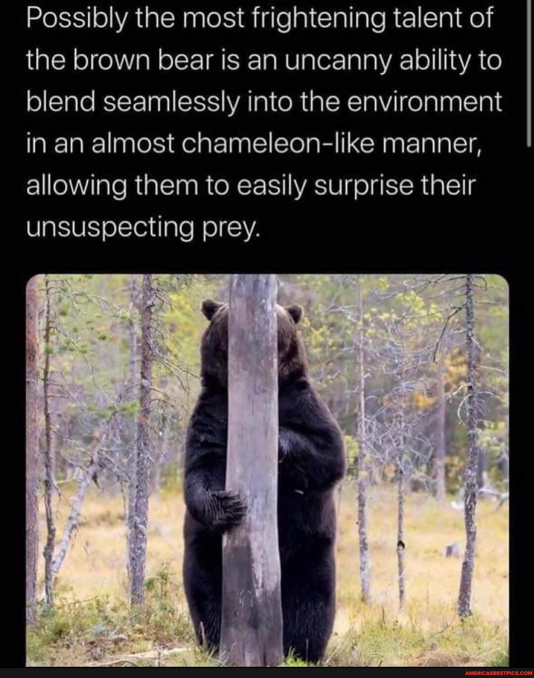 Follow @plzdontstopthememes #memes #meme #memesdaily #memes😂 #funny # ...