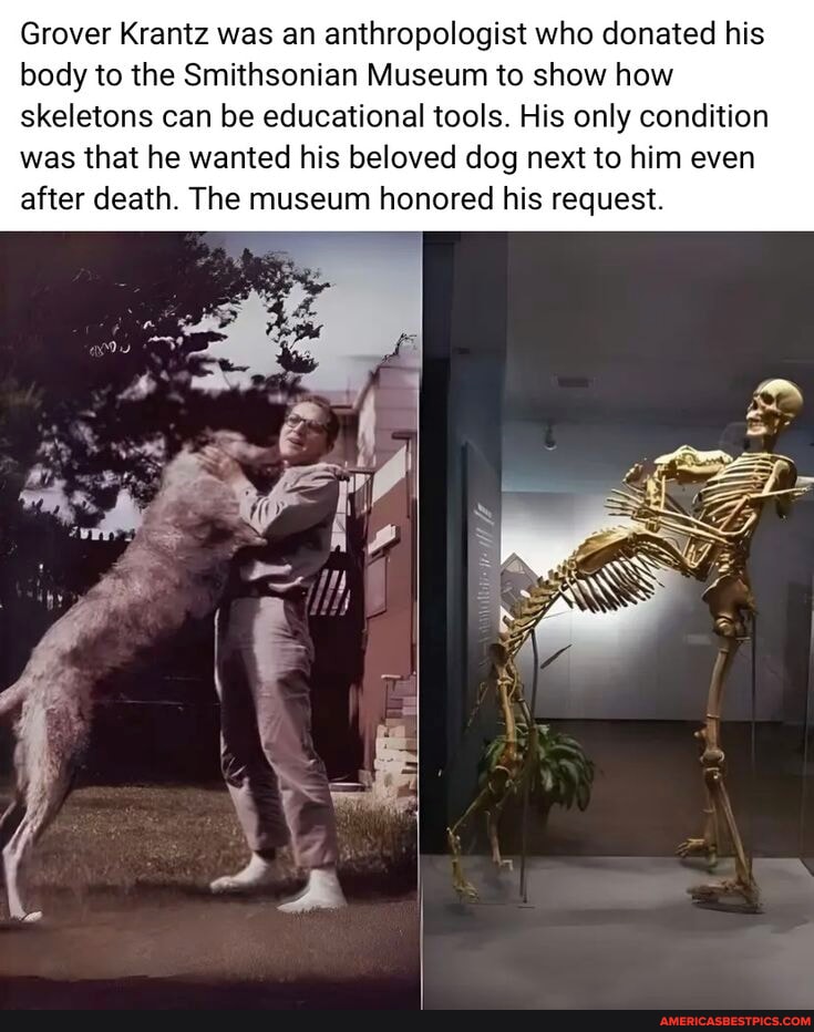 Grover Krantz was an anthropologist who donated his body to the ...