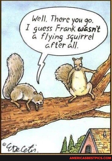 Well, There you go. guess Frank wasn't & Flying squirrel after all. - America’s best pics and videos