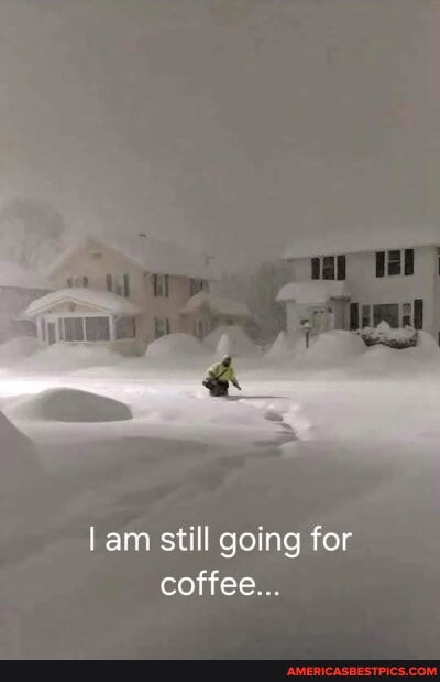 I am still going for coffee... - America’s best pics and videos