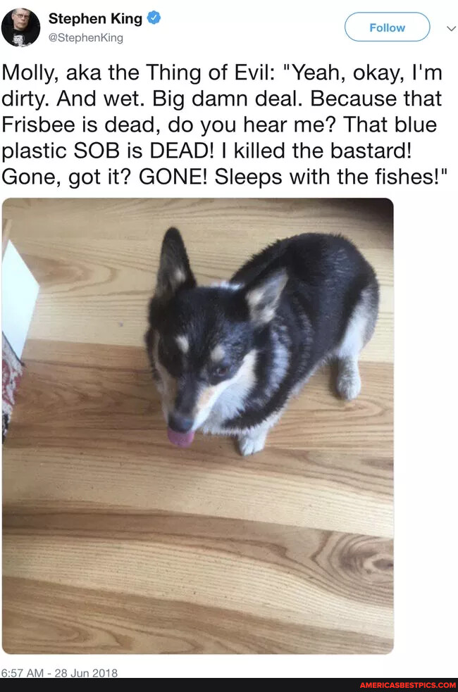 Stephen King @ @Stephenking Molly, aka the Thing of Evil: "Yeah, okay ...