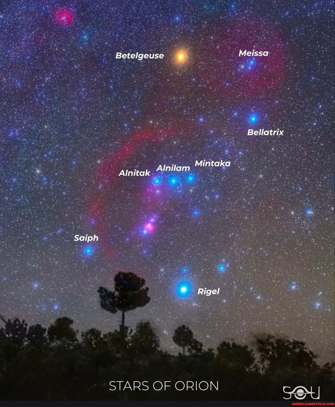 Betelgeuse Meissa Bellatrix Mintaka Alnitak Alnilam Saiph * Rigel STARS ...
