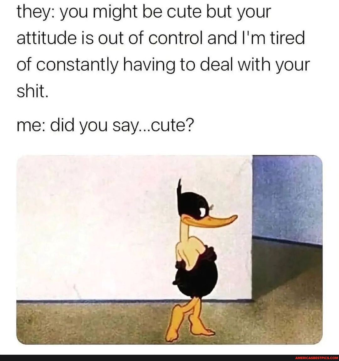 Hehe 😛 Follow @wholesomebeeches for everyday memes! . . #memes #meme # ...