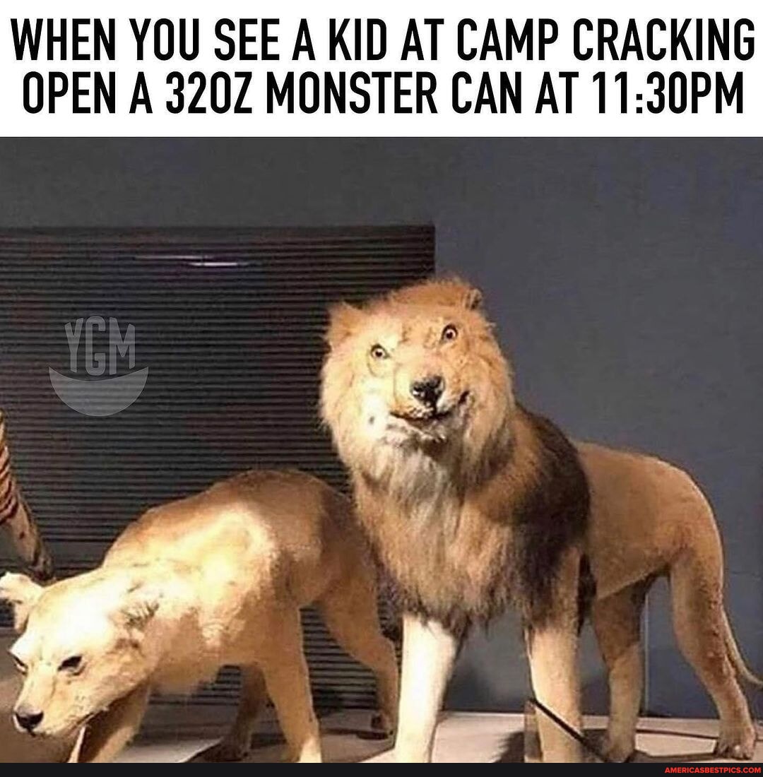Put down the energy drink Grayden! - WHEN YOU SEE A KID AT CAMP ...