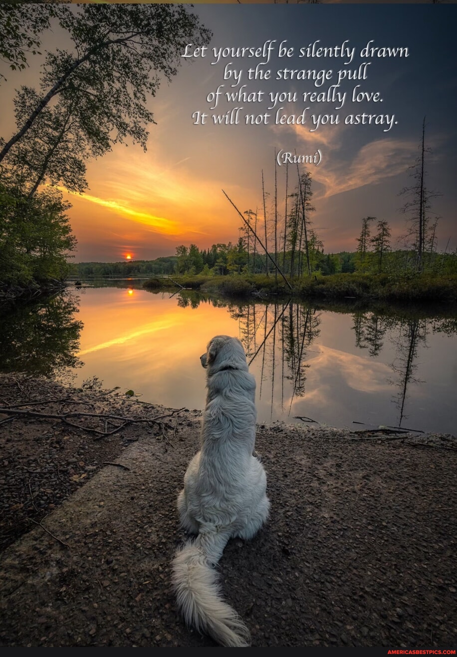 Let elf be silently drawn by the strange pull of what you really love ...