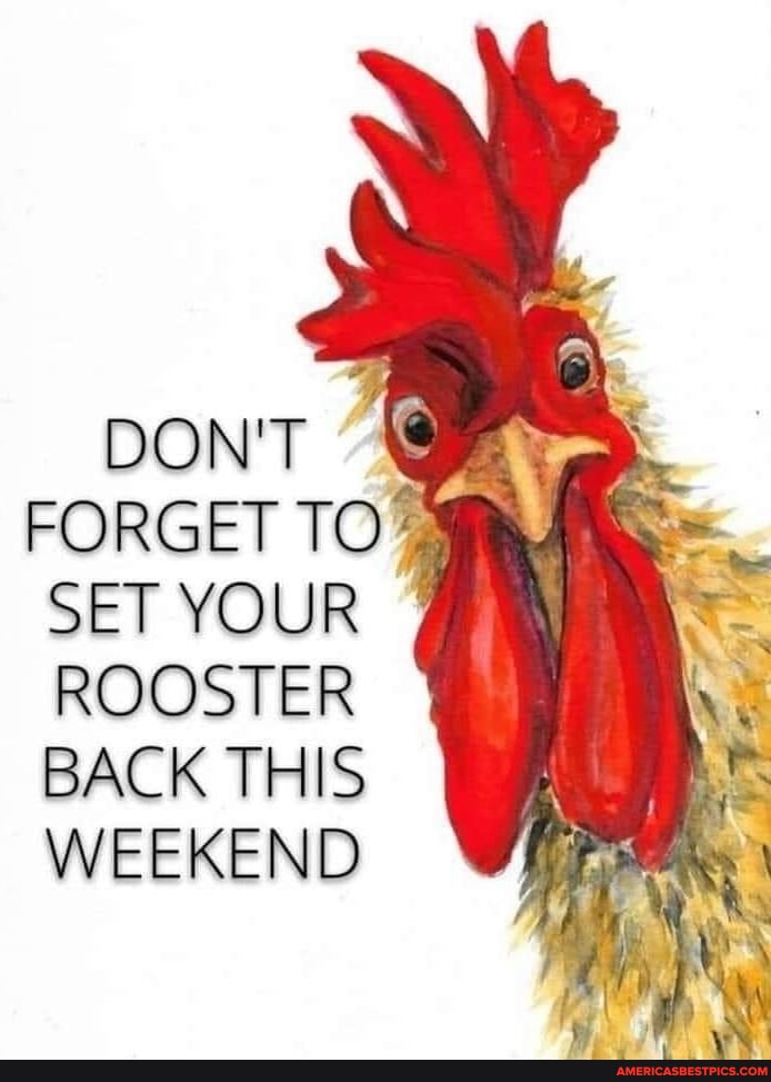 DON'T FORGET TO% SET YOUR ROOSTER BACK THIS WEEKEND - America’s best ...