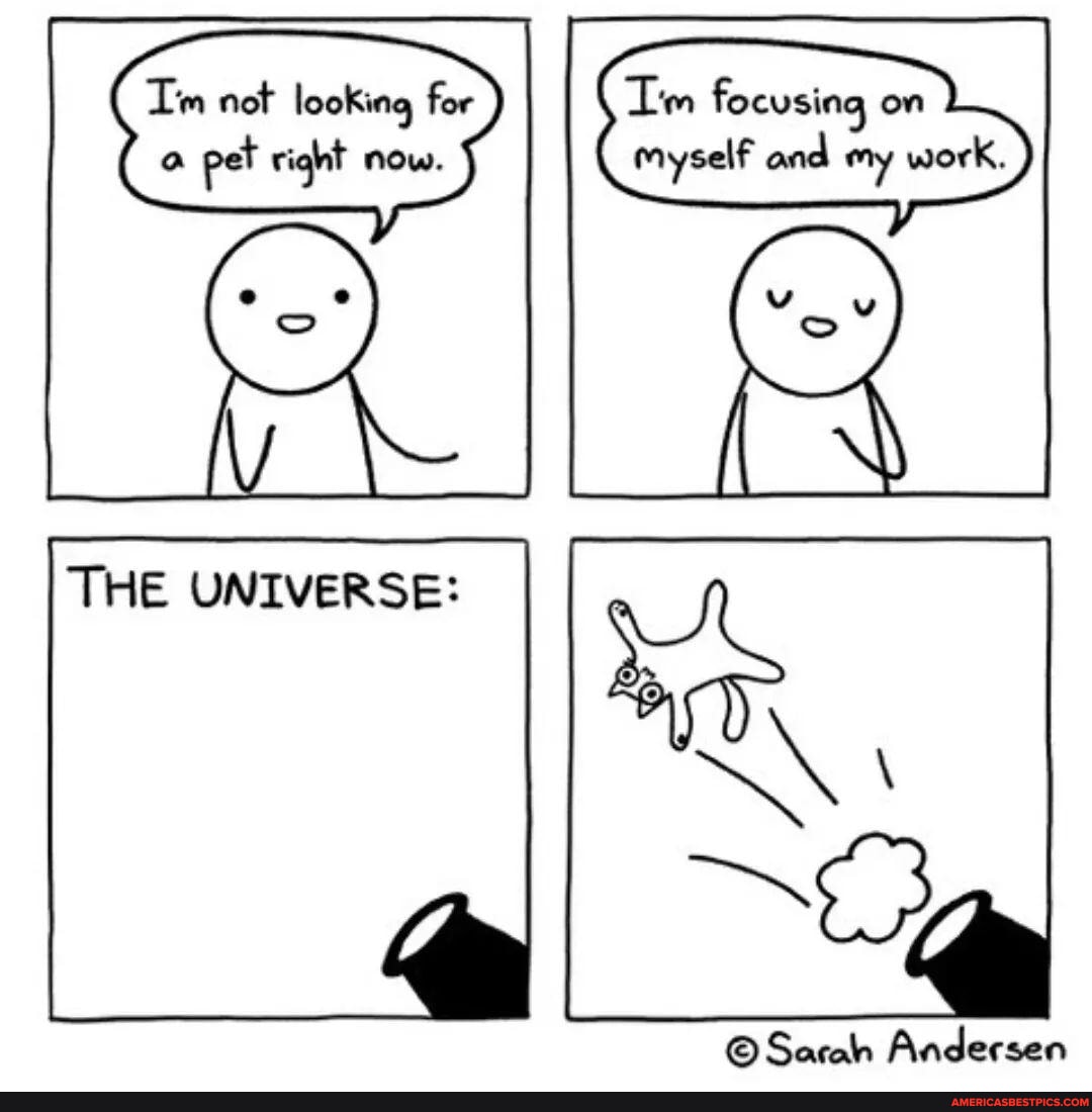 Multiple problems one solution Credits sarahandersencomics Follow ...