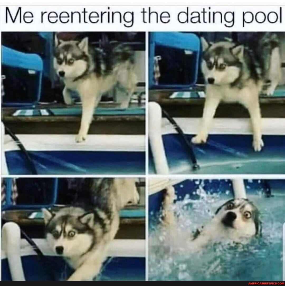 Me reentering the dating pool \S - America’s best pics and videos