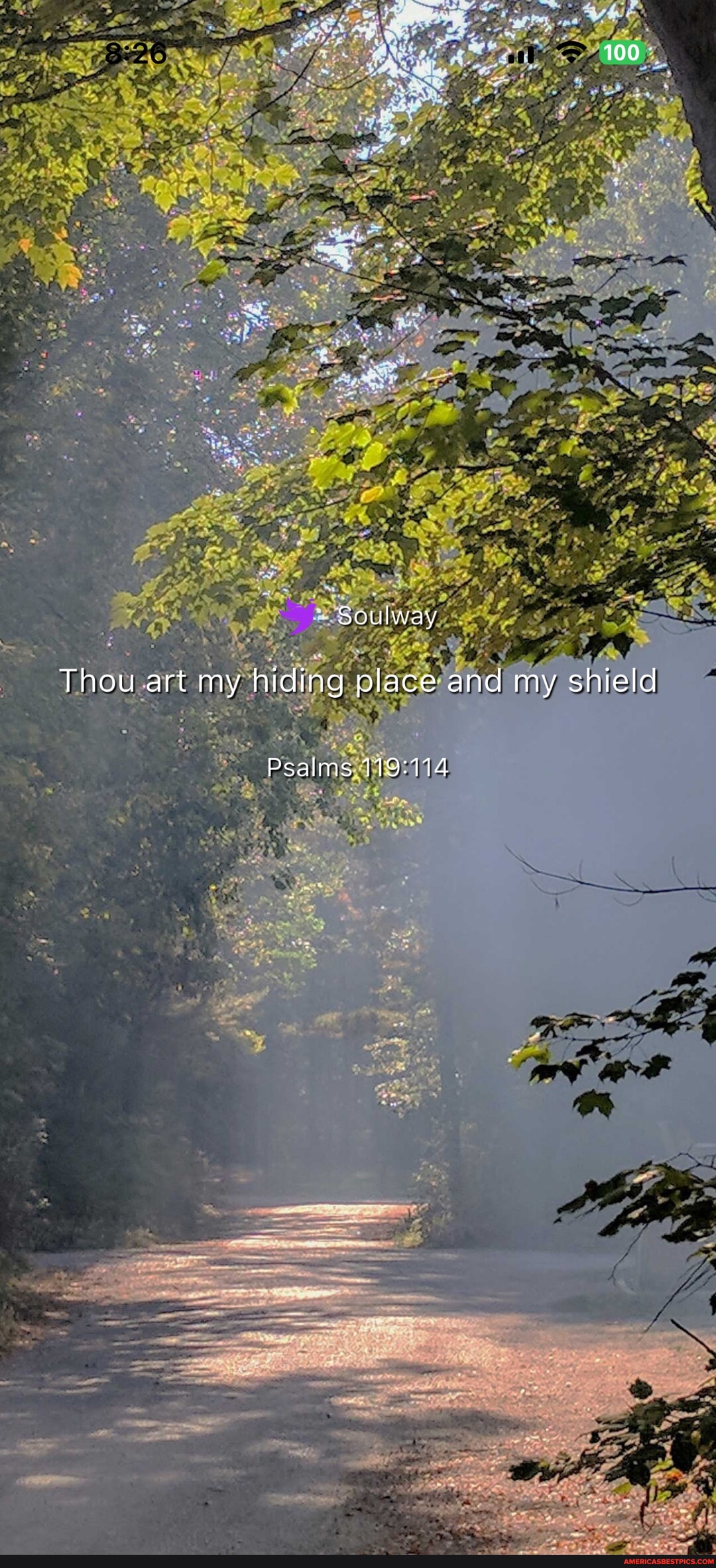 Ag Soulway Thou art my hiding place and my shield Psalms - America’s ...