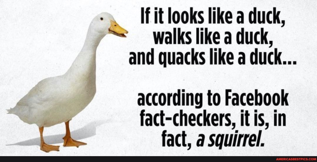 If it looks like a duck, ~ walks like a duck, and quacks like a duck ...