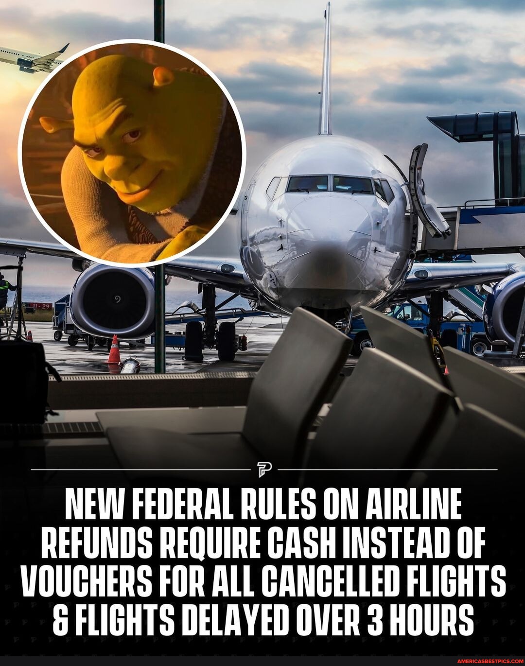 Airline canceled your flightThe plane arrived hours lateThe inflight ...