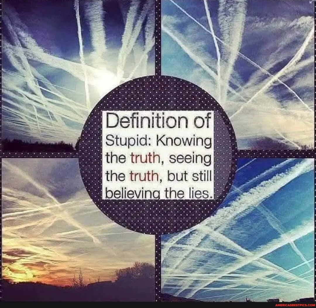 Definition of Stupid: Knowing the truth, seeing the truth, but still ...