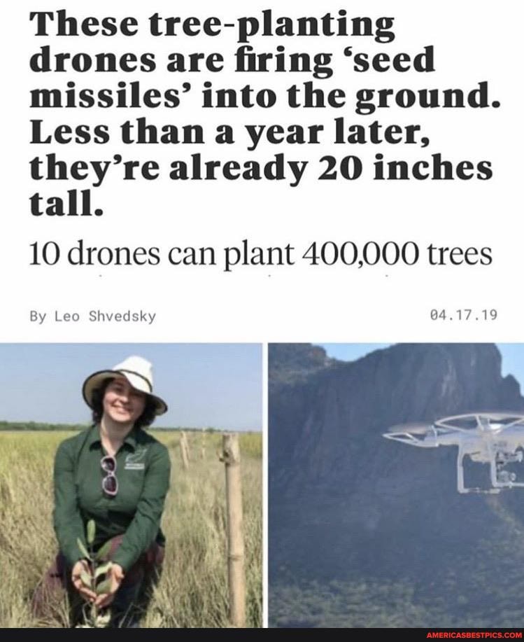 These tree-planting drones are firing 'seed missiles' into the ground ...
