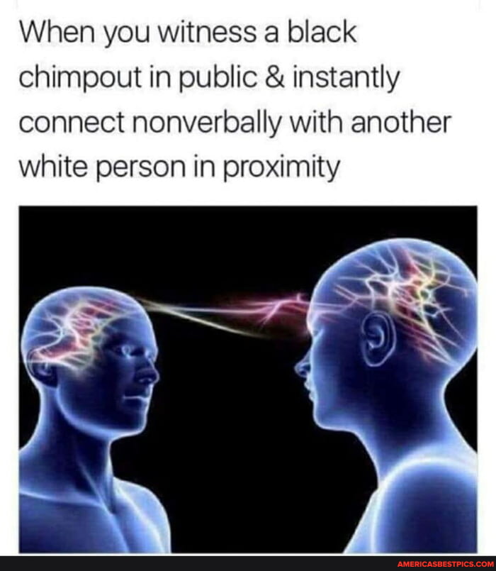 Chimpout memes. Best Collection of funny Chimpout pictures on America’s ...