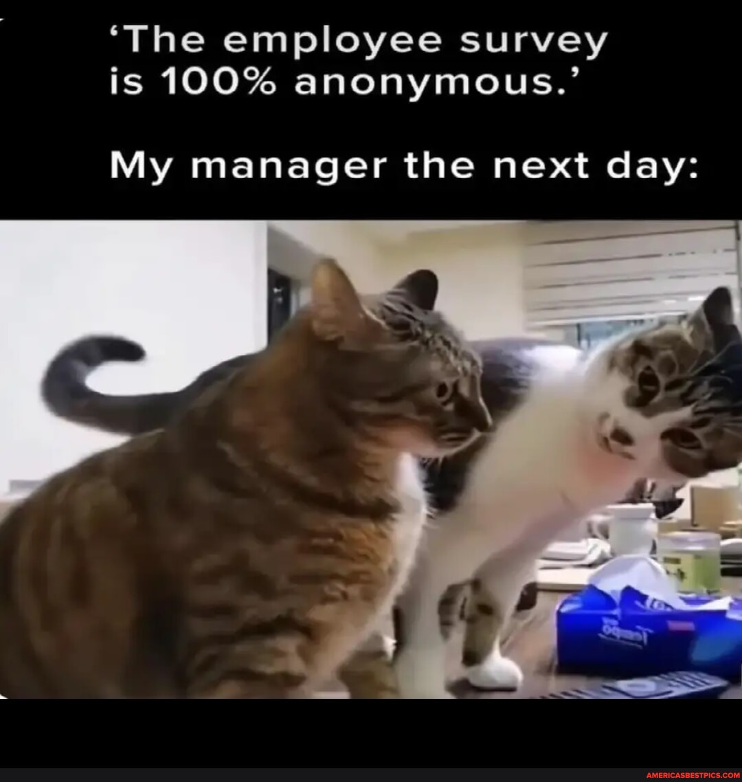 'The employee survey is 100% anonymous.' My manager the next day ...