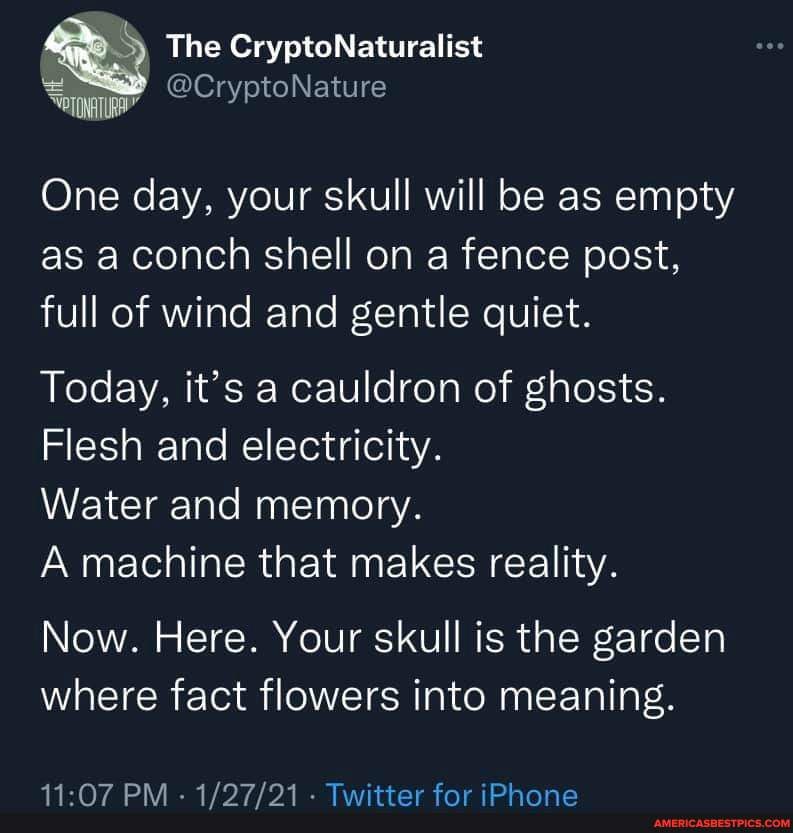 One day, your skull will be as empty as a conch shell on a fence post ...
