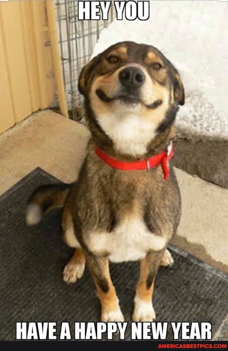 HAVE A HAPPY NEW YEAR - America’s best pics and videos