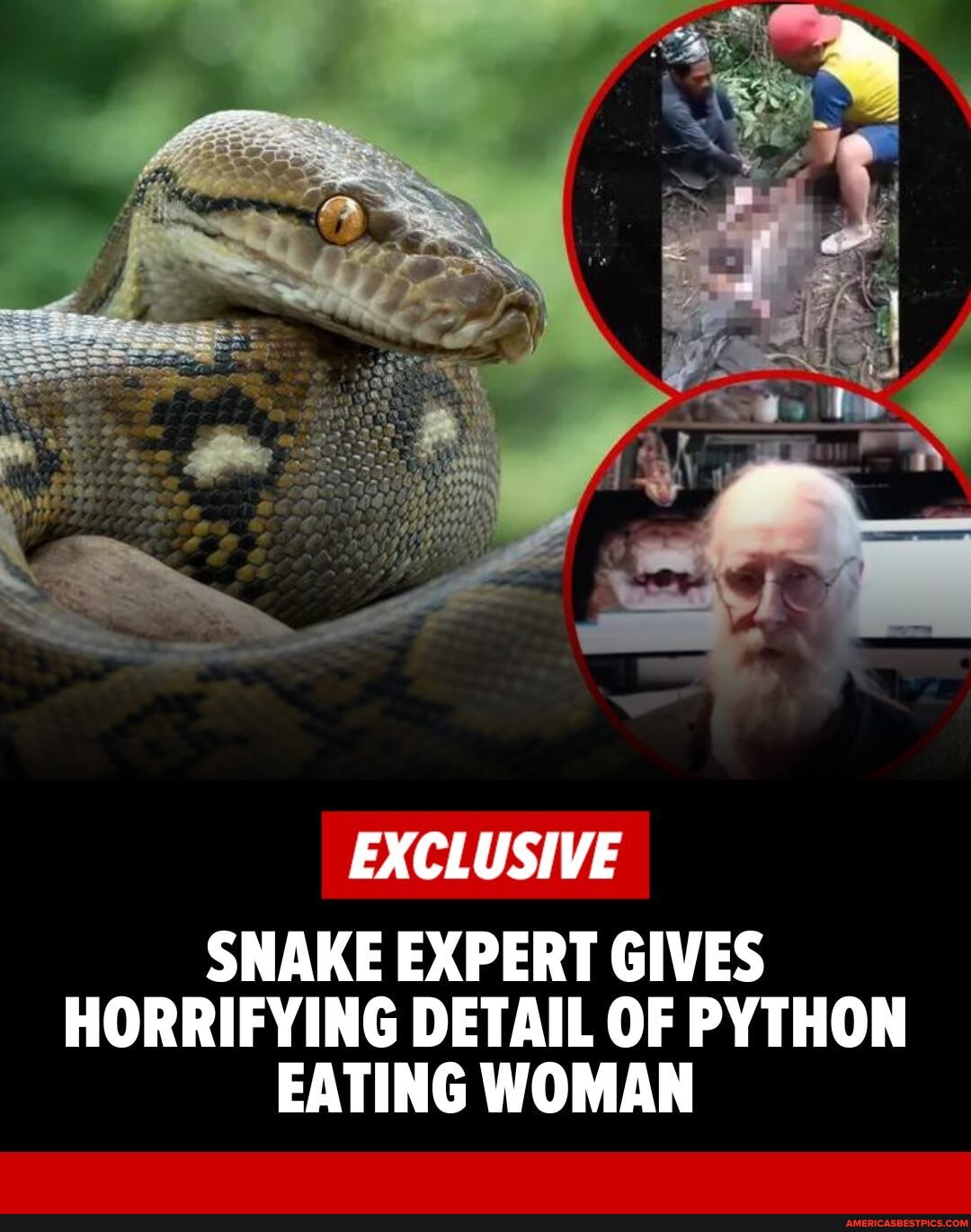 The shocking video aftermath of an Indonesian woman's death by python ...