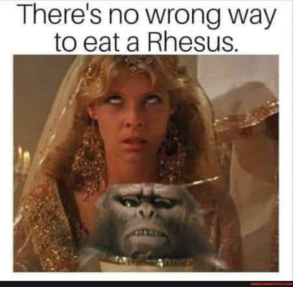 There's no wrong way to eat a Rhesus. - America’s best pics and videos