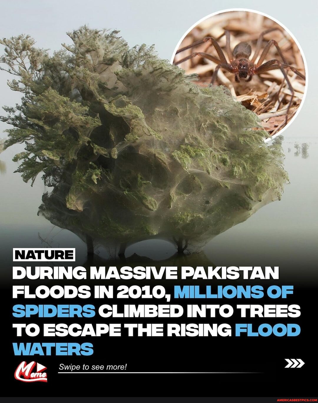 The unprecedented flooding in Pakistan in the latter half of 2010 ...
