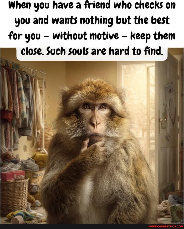 When you have a friend who checks on you and wants nothing but the best ...