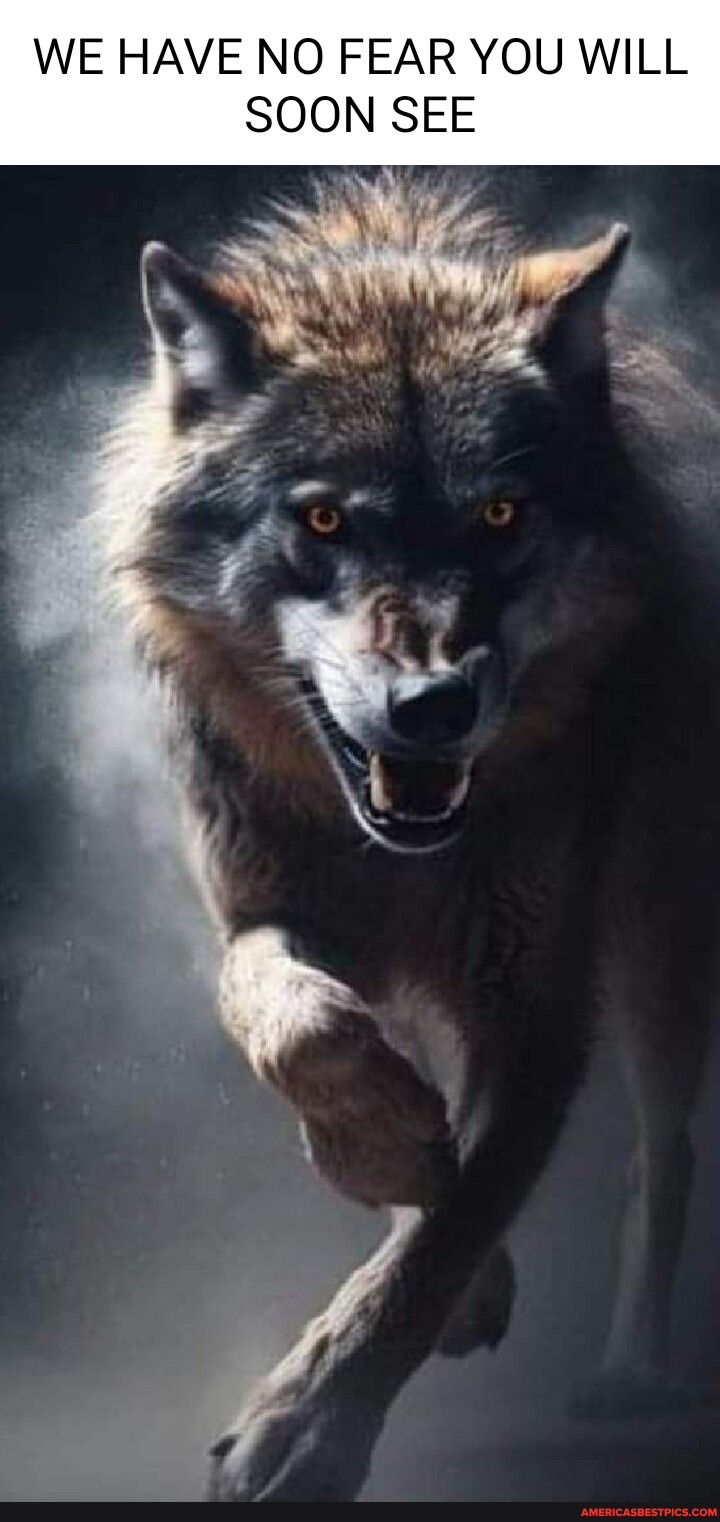 WE HAVE NO FEAR YOU WILL SOON SEE - America’s best pics and videos