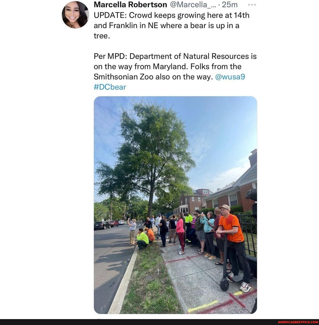 DC loves a good animal sighting 😂 - Marcella Robertson @Marcella ...