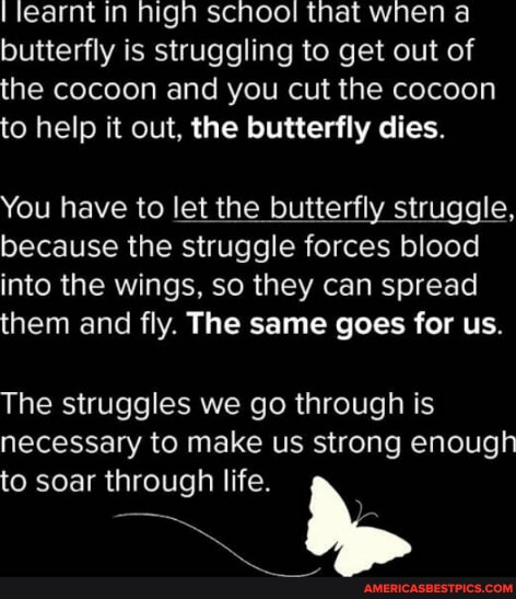 Learnt in high school that when a butterfly is struggling to get out of ...