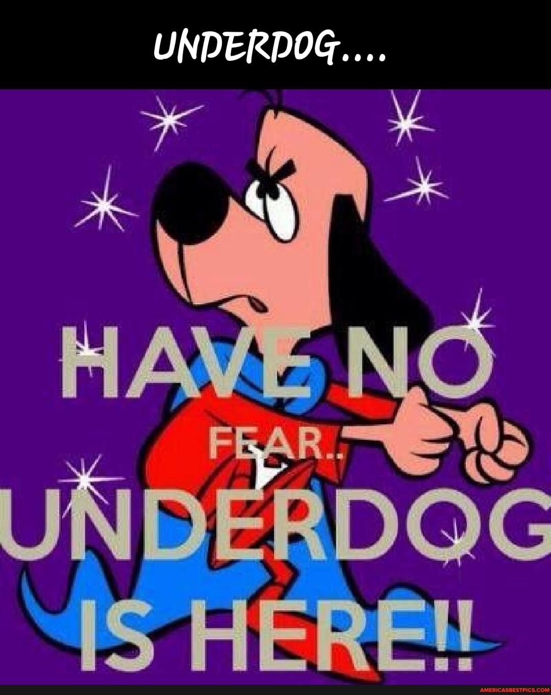 UNDERDOG... IS HERE!! - America’s best pics and videos