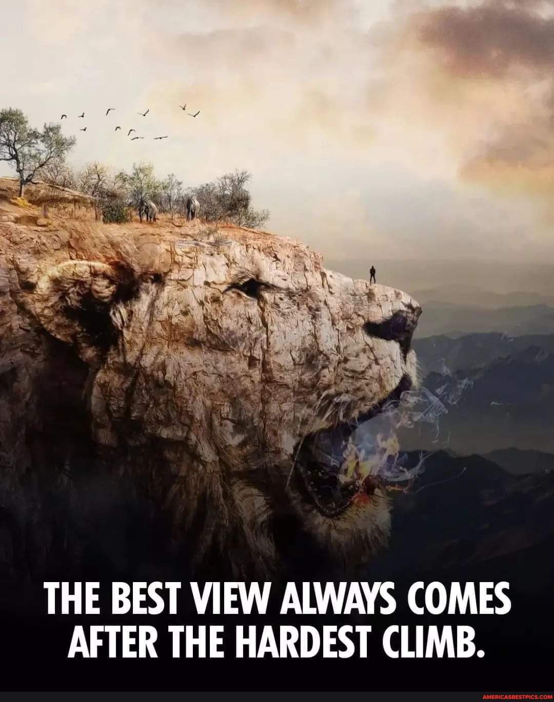 THE BEST VIEW ALWAYS COMES AFTER THE HARDEST CLIMB. - America’s best ...
