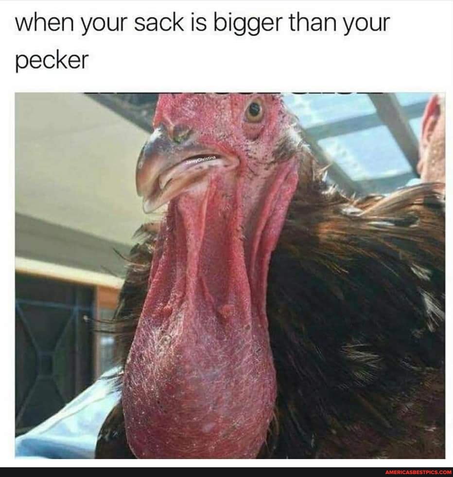When your sack is bigger than your pecker - America’s best pics and videos