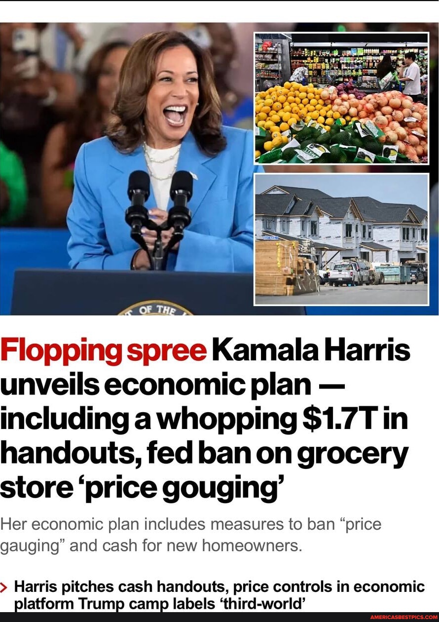 Flopping spree Kamala Harris unveils economic plan - including a ...