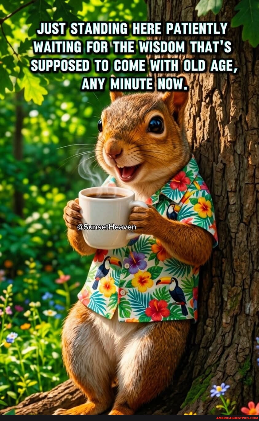 America’s best pics and videos - the best memes, video, gifs and funny ...
