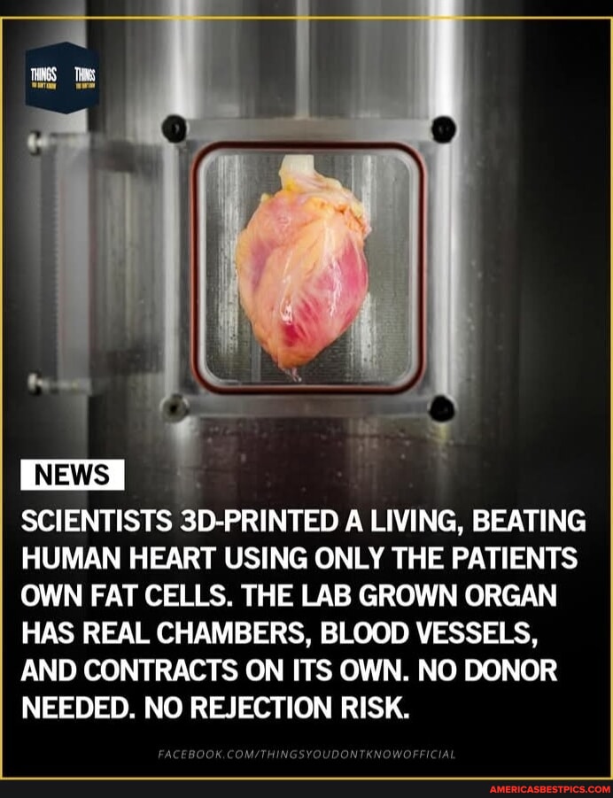 I NEWS I SCIENTISTS 3D-PRINTED A LIVING, BEATING HUMAN HEART USING ONLY ...