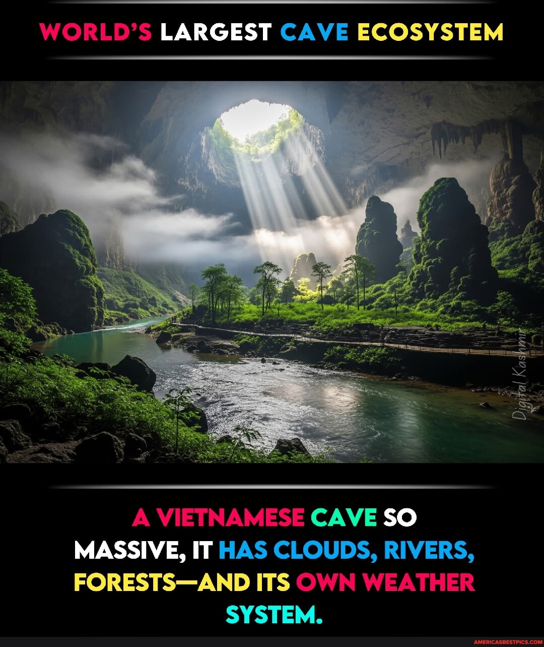 WORLD'S LARGEST CAVE ECOSYSTEM A VIETNAMESE CAVE SO MASSIVE, IT HAS ...